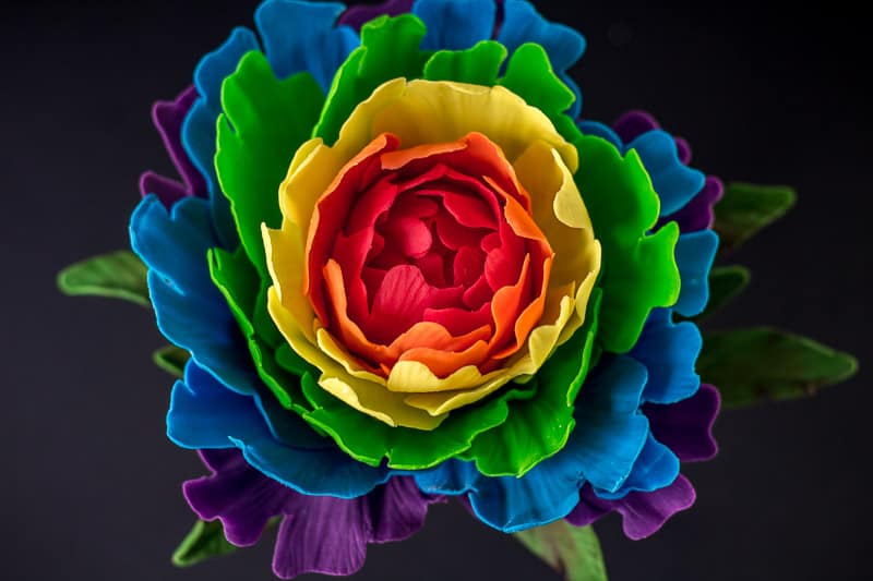 Rainbow Gumpaste Peony Tutorial - I Scream for Buttercream