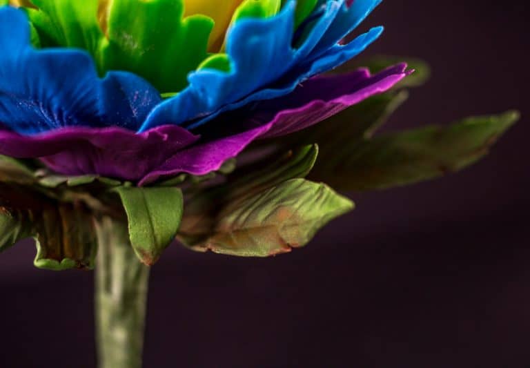 Gumpaste Peony Leaves and Calyx Tutorial - I Scream for Buttercream
