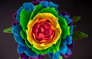 Rainbow Gumpaste Peony Tutorial - I Scream for Buttercream