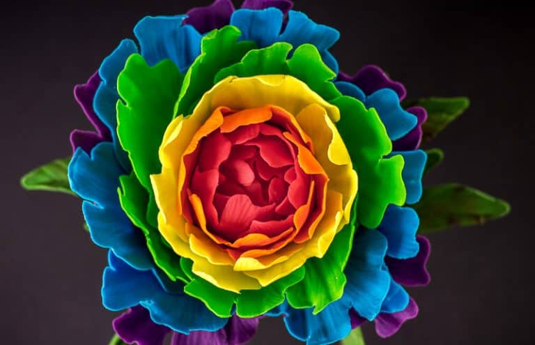 Rainbow Gumpaste Peony Tutorial - I Scream for Buttercream
