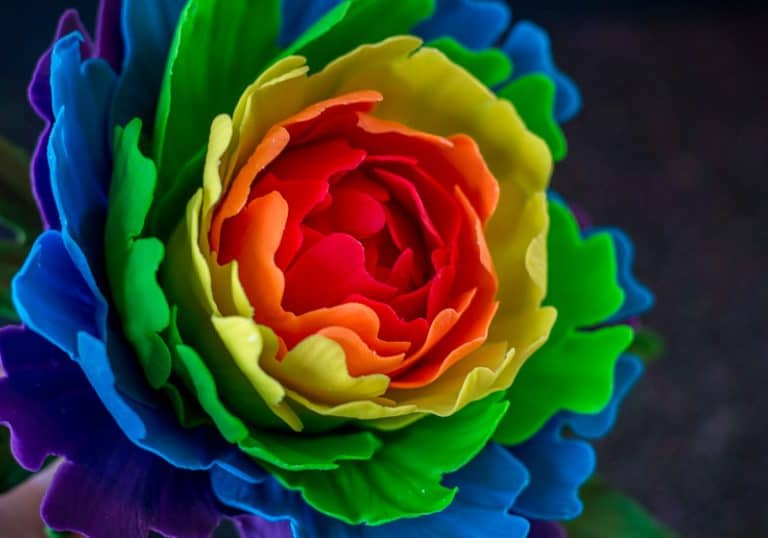 Rainbow Gumpaste Peony Tutorial - I Scream for Buttercream