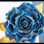 How to Make a Large Gumpaste Rose - I Scream for Buttercream