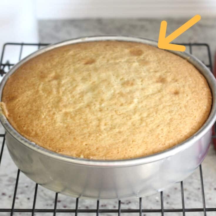 Common Cake Decorating Terms (and what they mean) - I Scream for ...