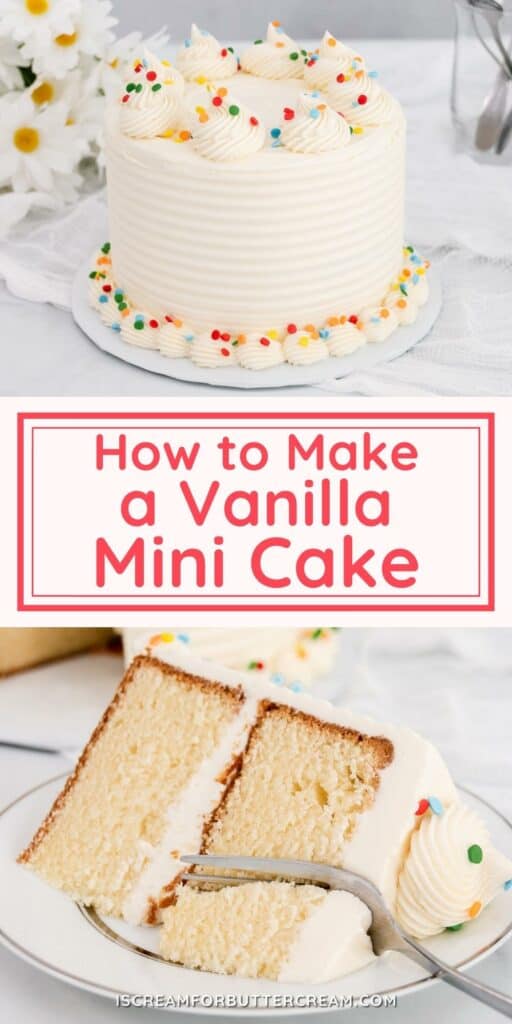 Mini 6 Inch Vanilla Cake Recipe - I Scream for Buttercream