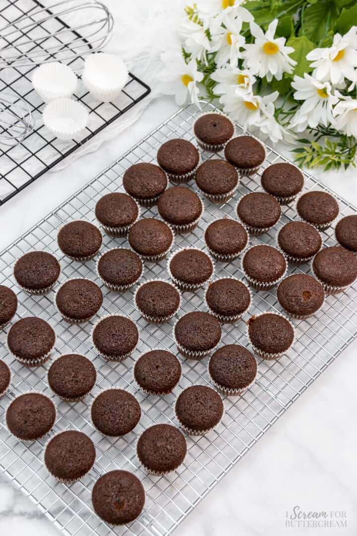 Chocolate Mini Cupcakes (from scratch) - I Scream for Buttercream