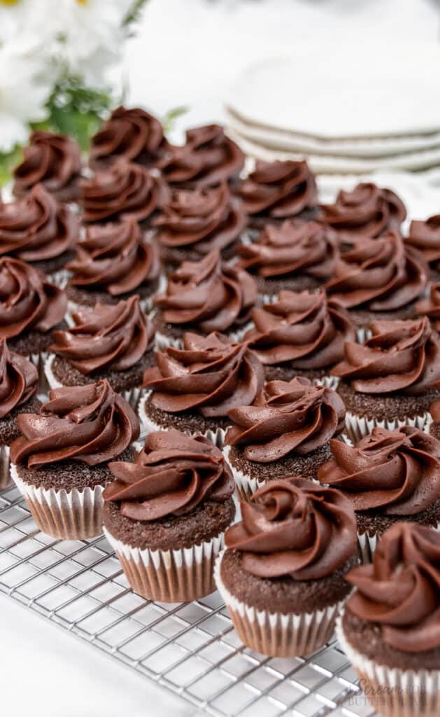 Chocolate Mini Cupcakes (from scratch) - I Scream for Buttercream